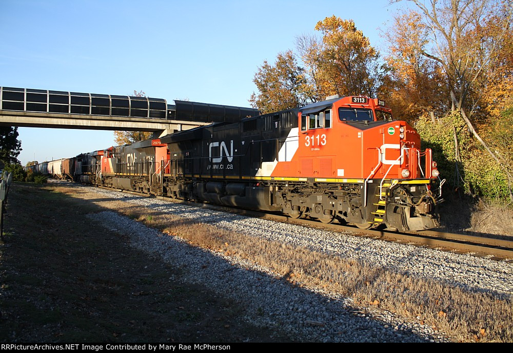 Southbound CN freight